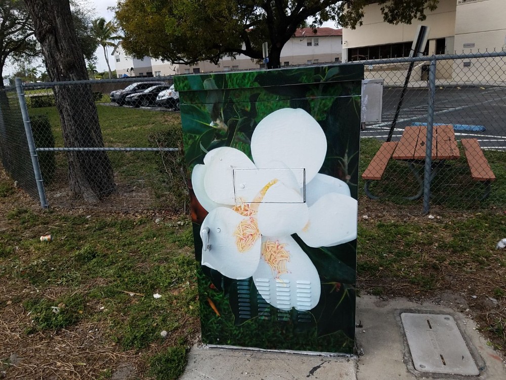 Utility Box Wraps - Pompano Beach Arts